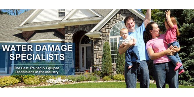 Rytech Franchise Information | BusinessBroker.net